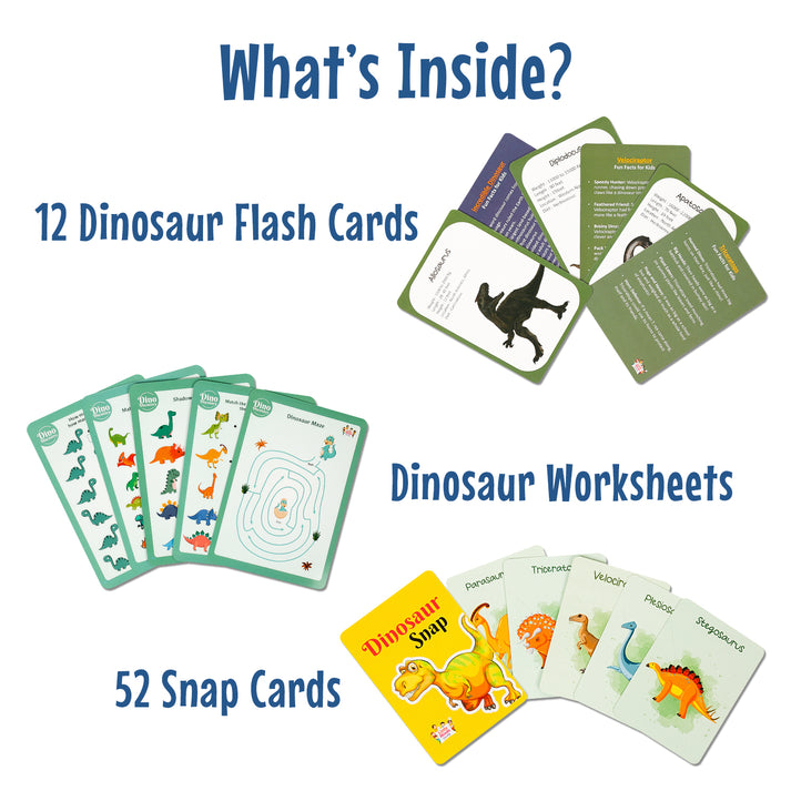 Dinosaur Discovery Kit – Little Minds At Work